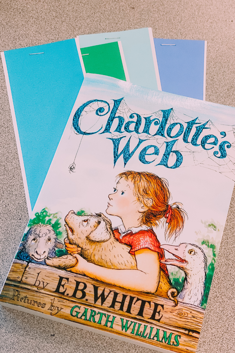 Charlotte's Web Book Activities that will Excite Your Students